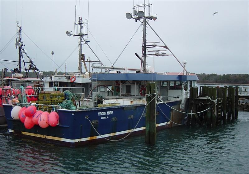 VIRGINIA MARIE - Vesseljoin