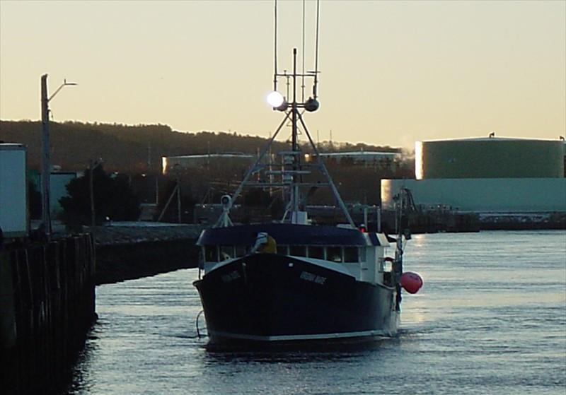 VIRGINIA MARIE - Vesseljoin