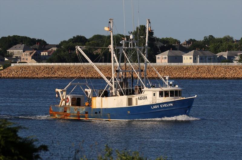 LADY EVELYN - Vesseljoin