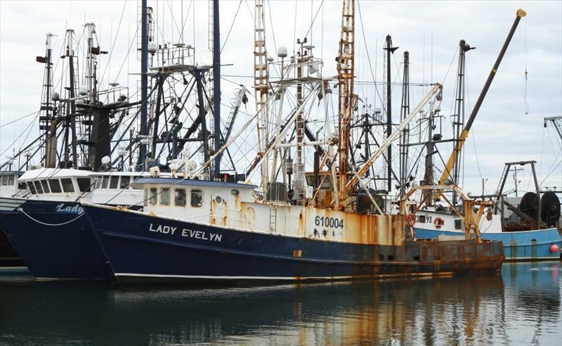 LADY EVELYN - Vesseljoin