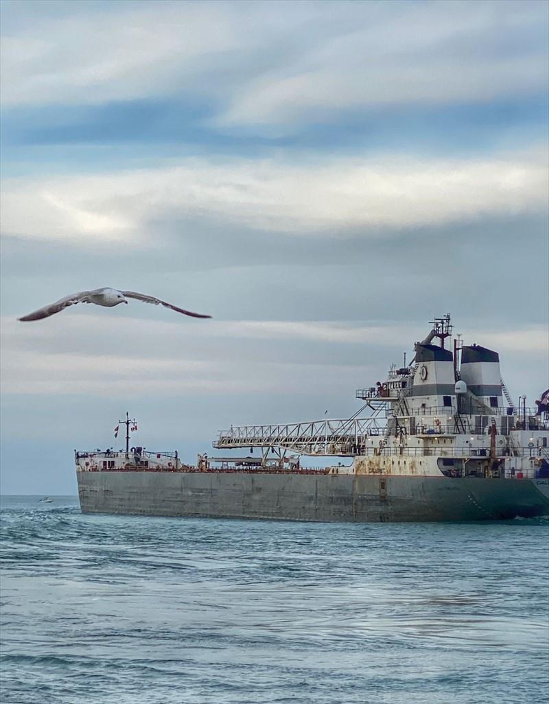 CALUMET - Vesseljoin