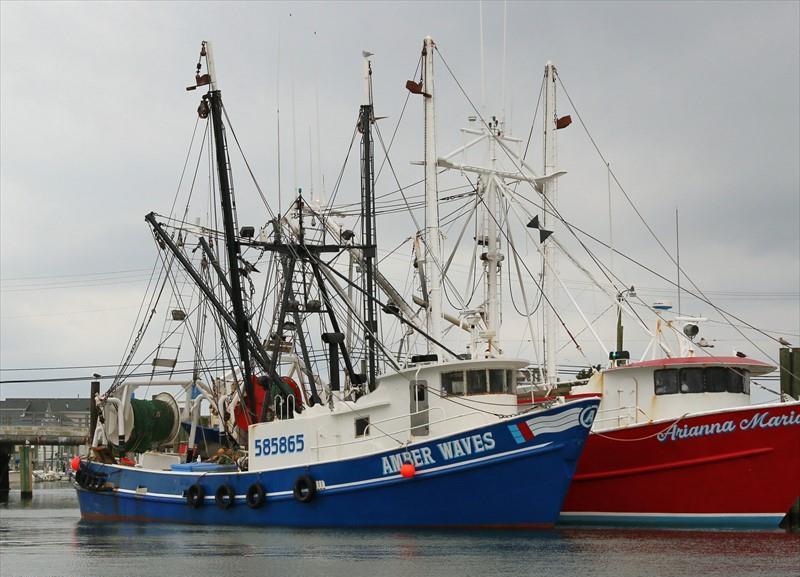 AMBER WAVES - Vesseljoin