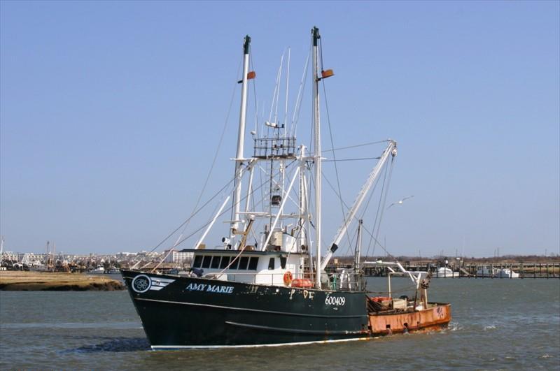 AMY MARIE - Vesseljoin