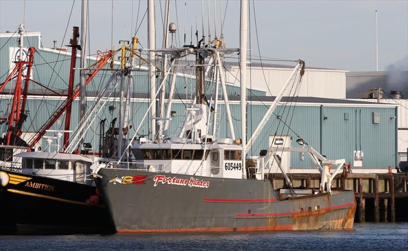 FORTUNE HUNTER - Vesseljoin