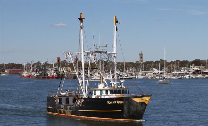 KATHY ROSE - Vesseljoin