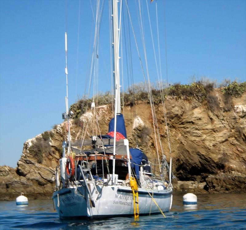 MAITREYA - Vesseljoin