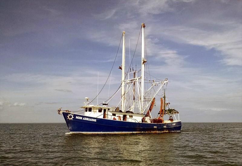 MISS ADRIANNE - Vesseljoin