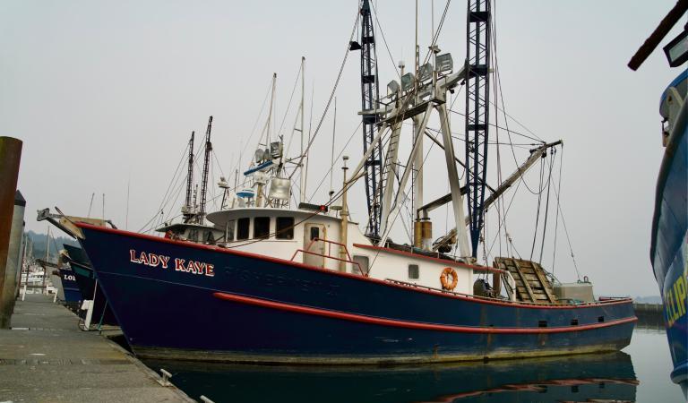 LADY KAYE - Vesseljoin