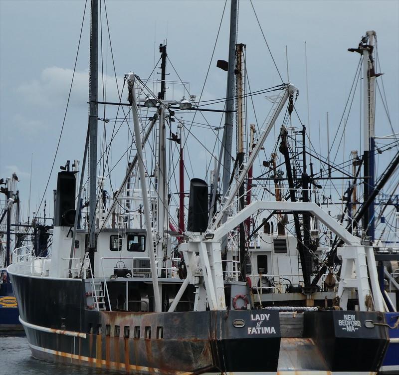 LADY OF FATIMA - Vesseljoin