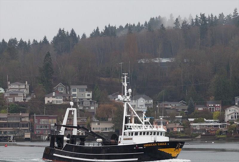 AMERICAN EAGLE - Vesseljoin