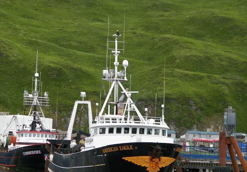 AMERICAN EAGLE - Vesseljoin