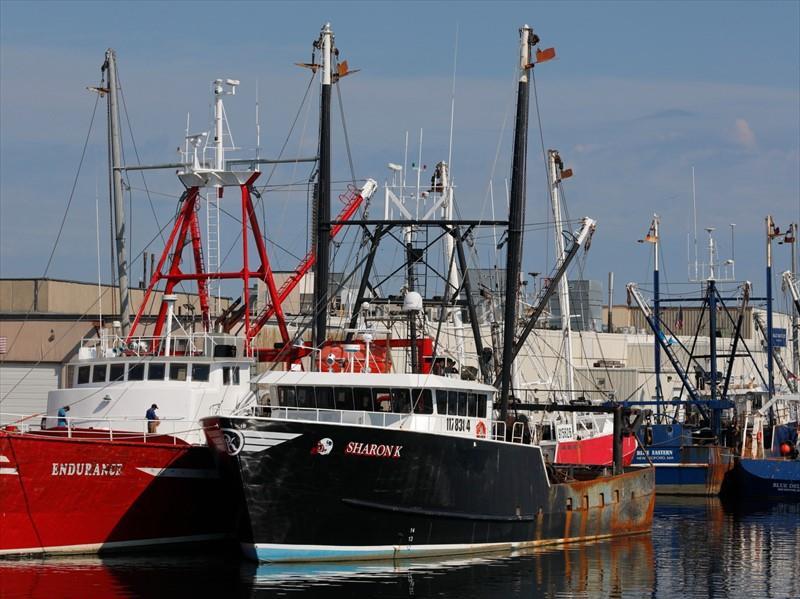 SHARON K - Vesseljoin