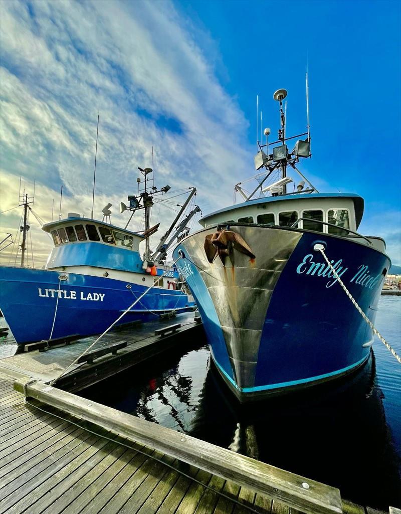 EMILY NICOLE - Vesseljoin