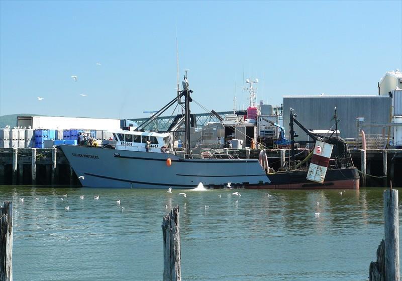 COLLIER BROTHERS - Vesseljoin