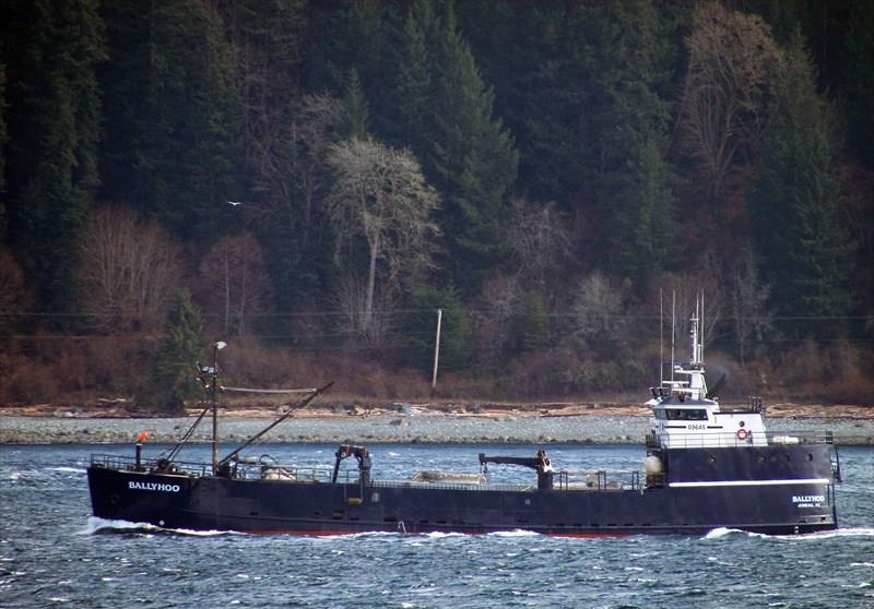 BALLYHOO - Vesseljoin