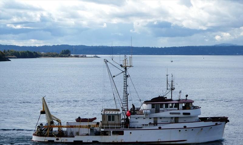 VELERO IV - Vesseljoin