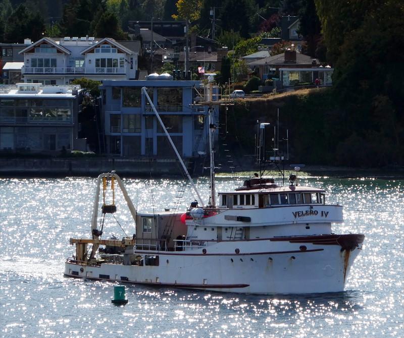 VELERO IV - Vesseljoin