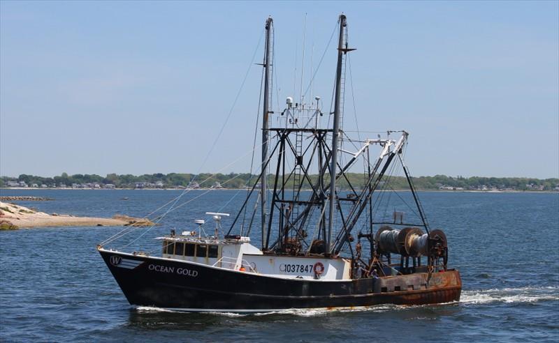 OCEAN GOLD - Vesseljoin