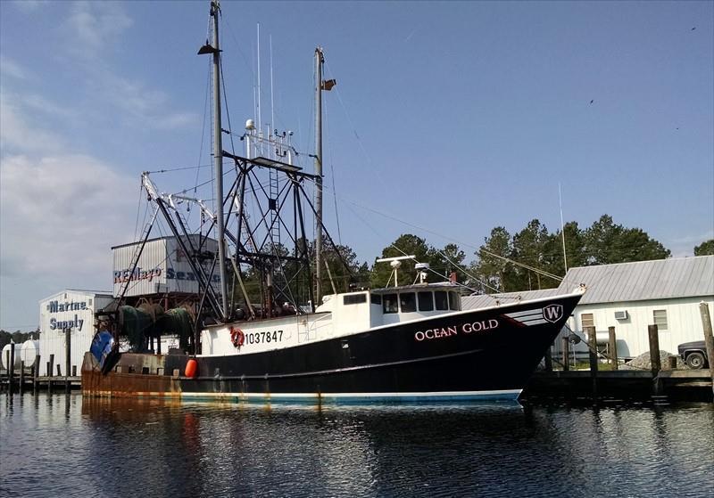 OCEAN GOLD - Vesseljoin