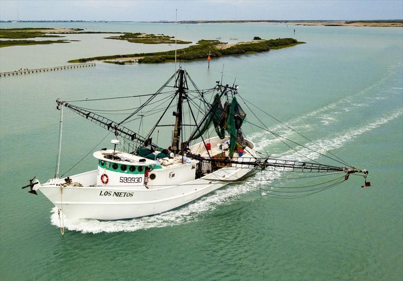 LOS NIETOS - Vesseljoin