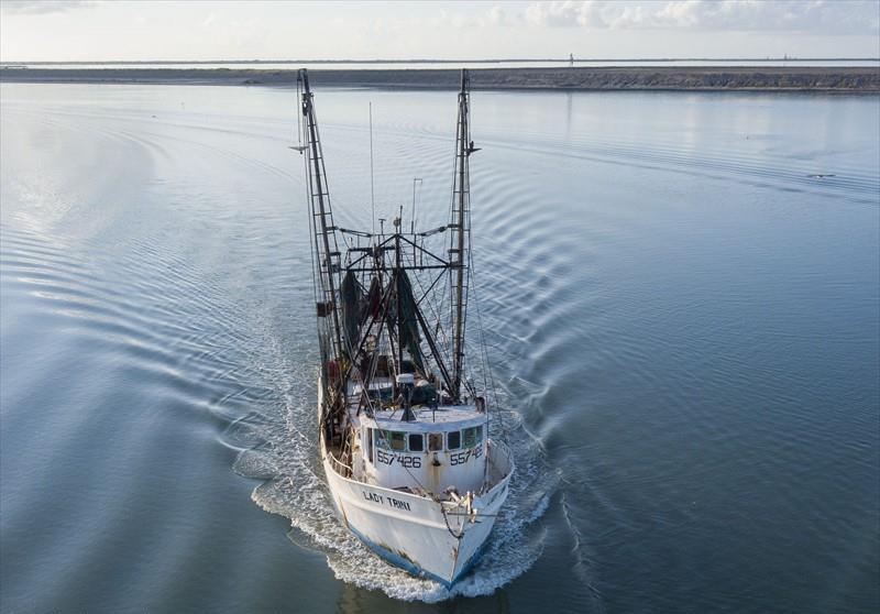 LADY TRINI - Vesseljoin