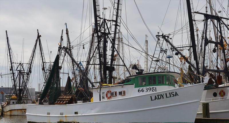 LADY LISA - Vesseljoin