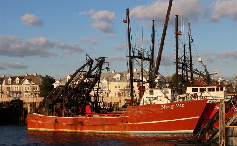 MARY VEE - Vesseljoin