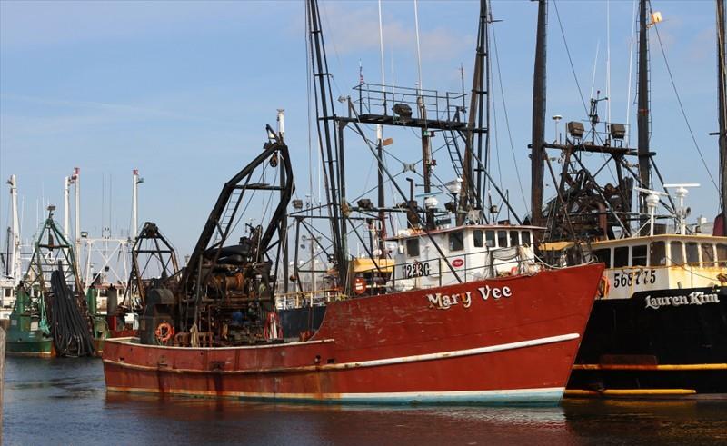 MARY VEE - Vesseljoin