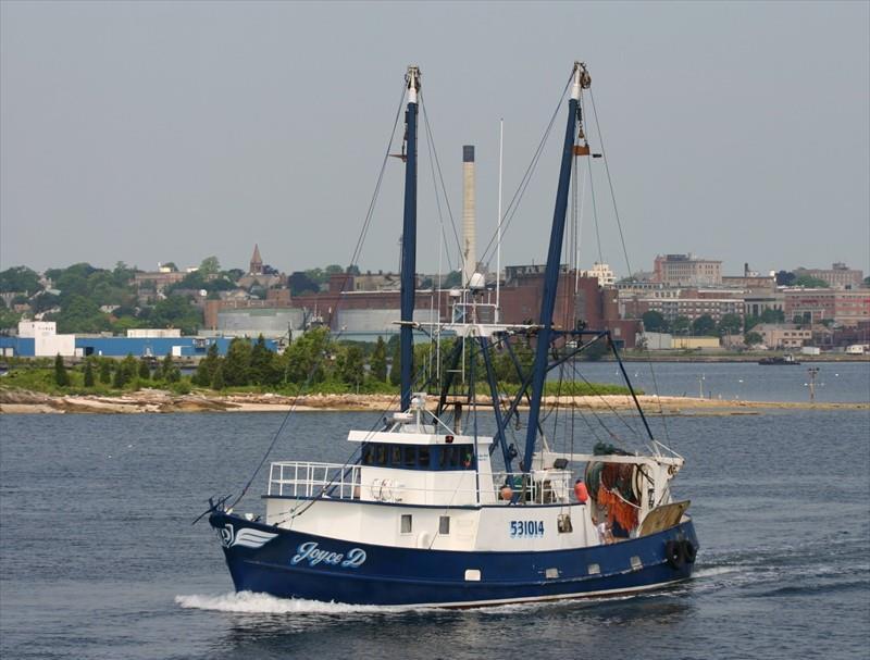 JOYCE D - Vesseljoin