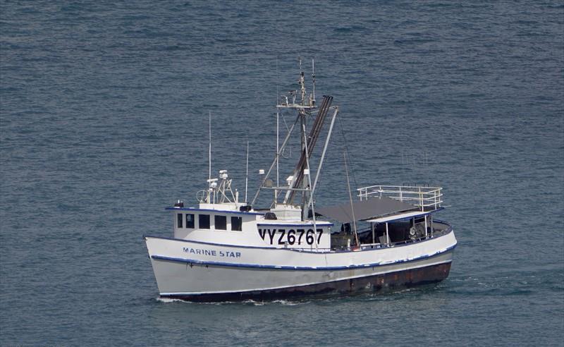 MARINE STAR - Vesseljoin