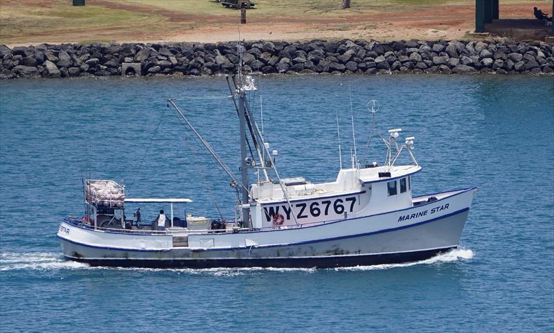 MARINE STAR - Vesseljoin