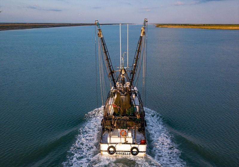 RIO CELLO - Vesseljoin