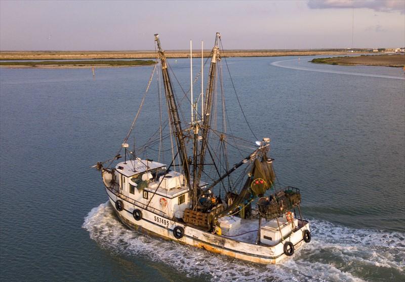 RIO CELLO - Vesseljoin