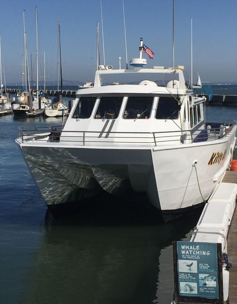 KITTY KAT - Vesseljoin