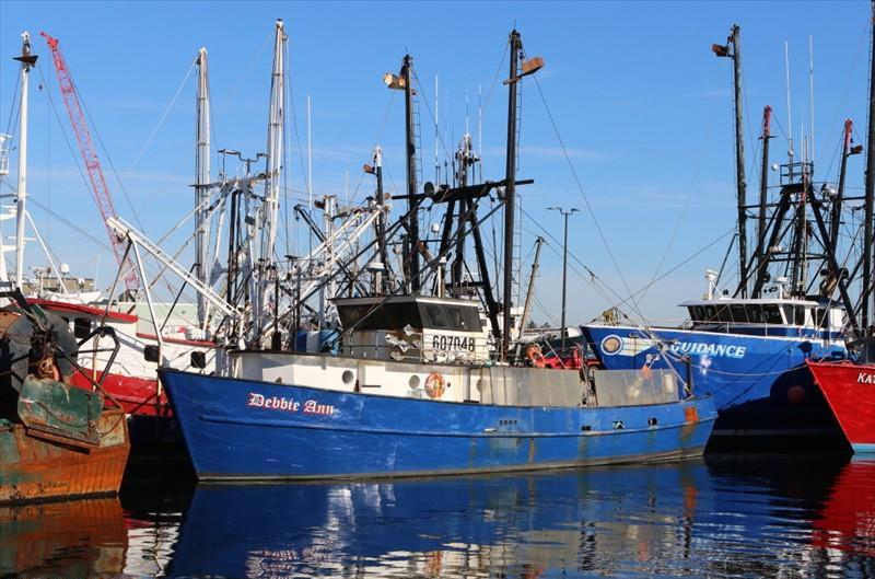 DEBBIE ANN - Vesseljoin