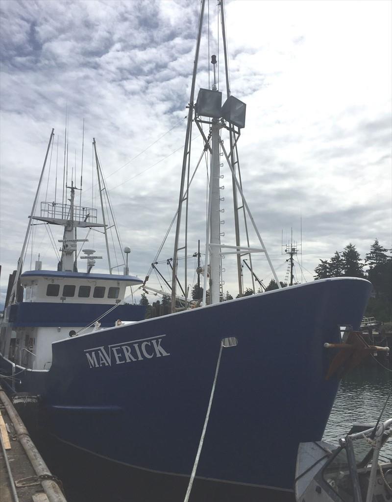 MAVERICK - Vesseljoin