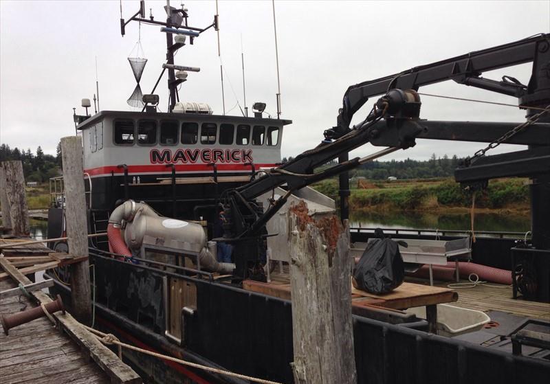 MAVERICK - Vesseljoin