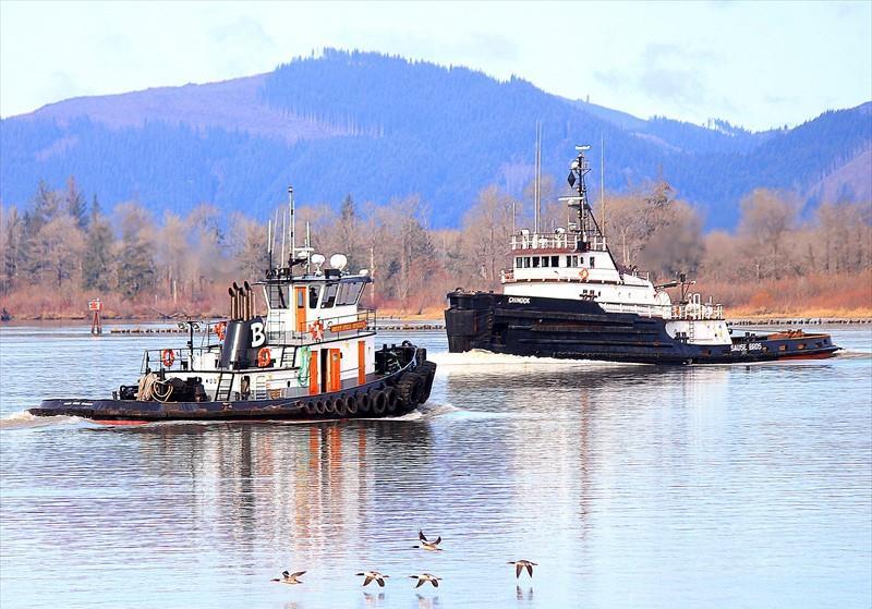 MARY ROSE BRUSCO - Vesseljoin