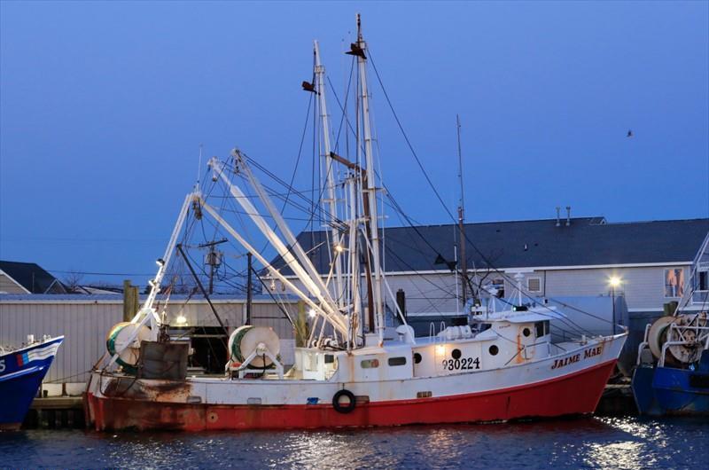 JAIME MAE - Vesseljoin