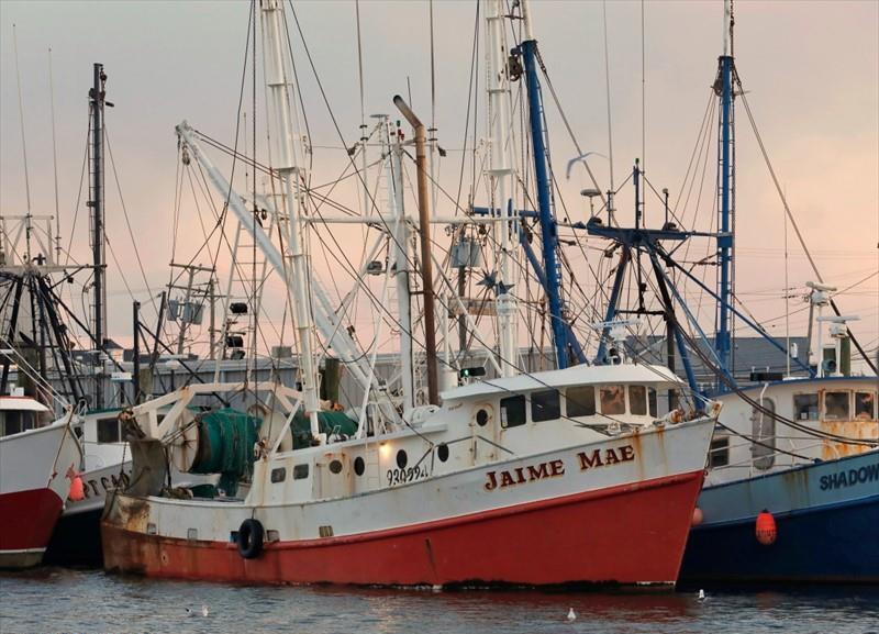 JAIME MAE - Vesseljoin