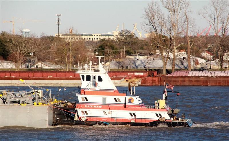 BLACK BEARD - Vesseljoin