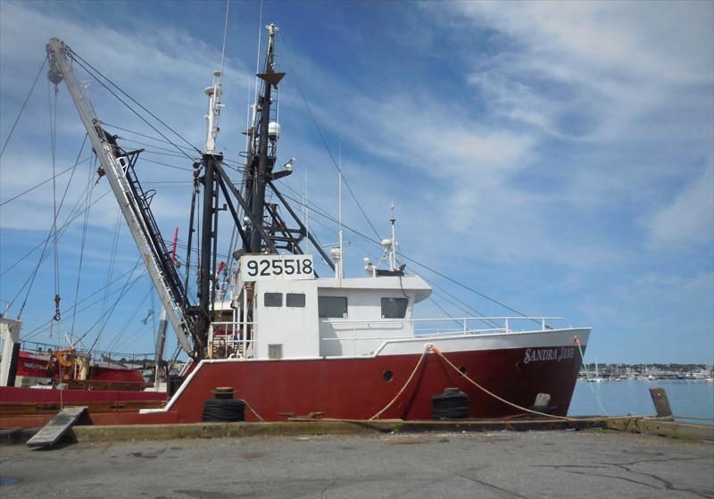 SANDRA JANE - Vesseljoin