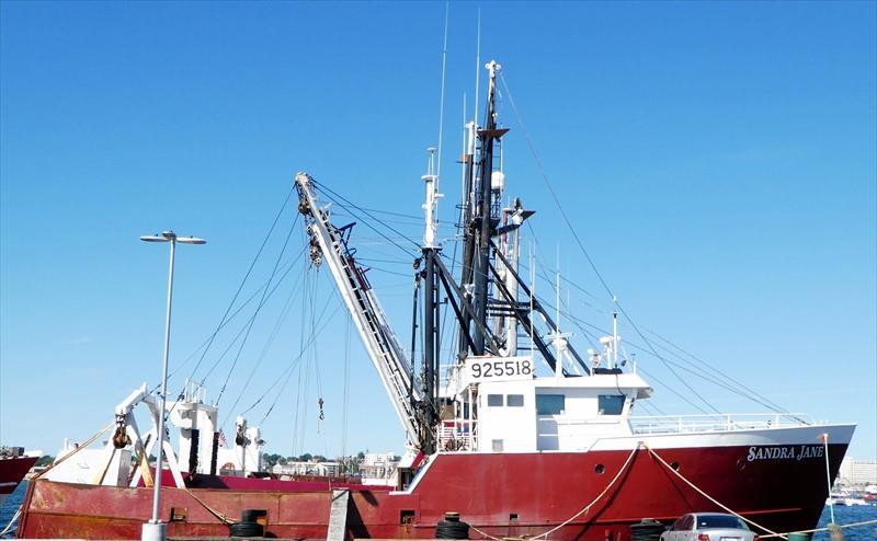 SANDRA JANE - Vesseljoin