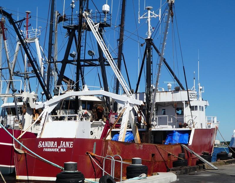 SANDRA JANE - Vesseljoin