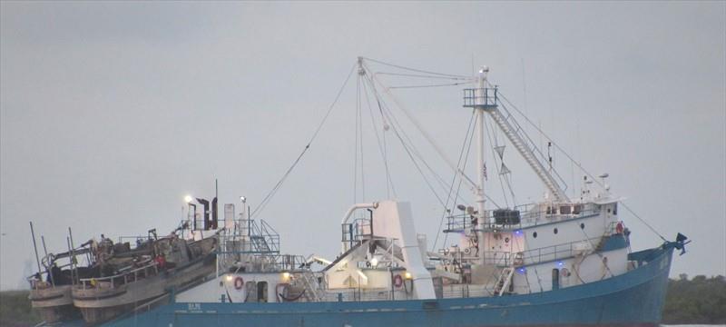 SEA BEE - Vesseljoin