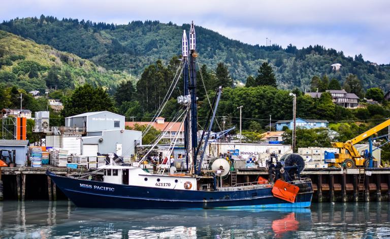 MISS PACIFIC - Vesseljoin