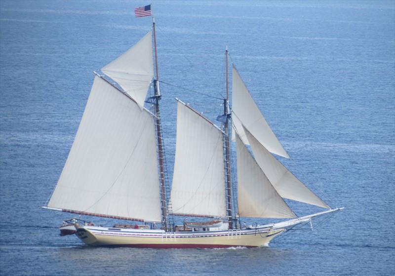 HERITAGE - Vesseljoin