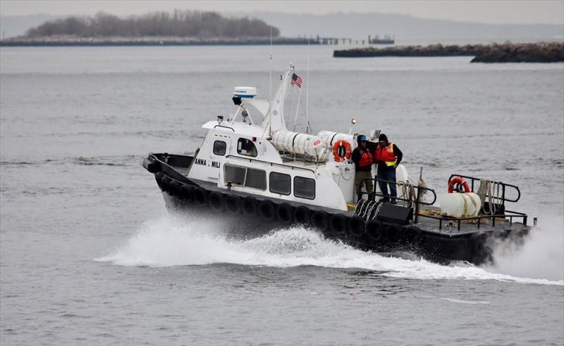 ANNA L MILLER - Vesseljoin