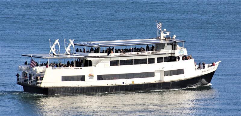 ALCATRAZ FLYER - Vesseljoin