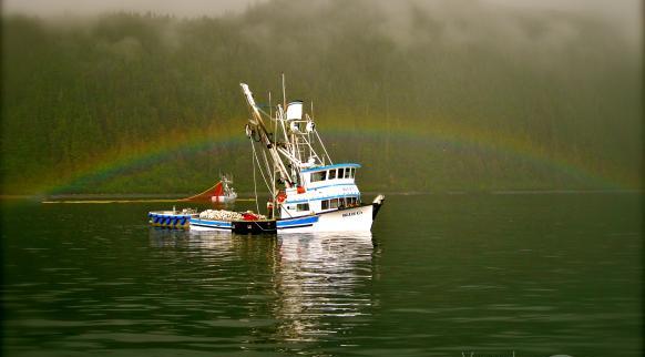 BLUE CS - Vesseljoin